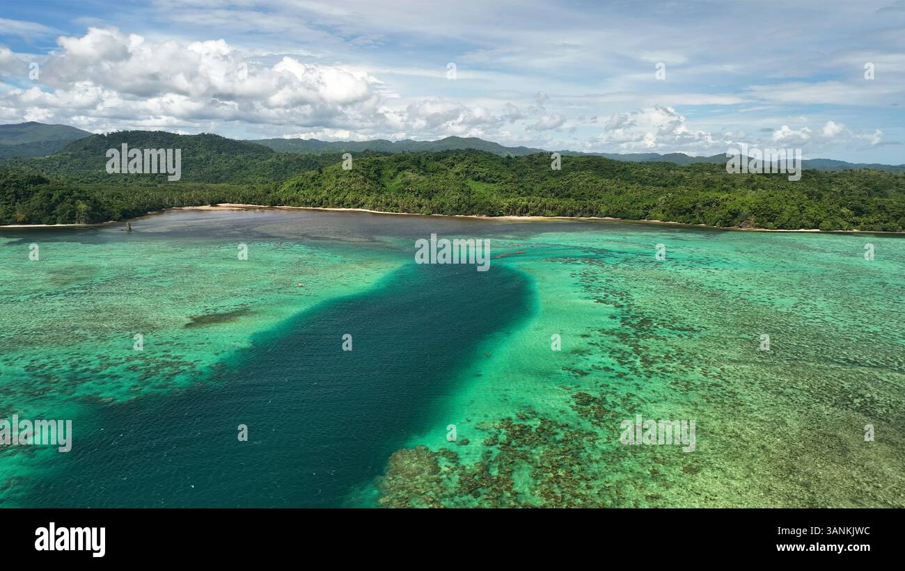 Aerial view of tropical island with lush greenery and coral reef in ...