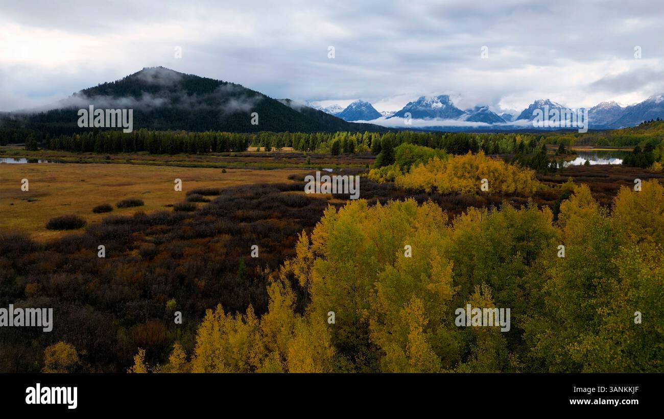 Aerial view of snowy mountains and forest at sunrise with aspen trees ...