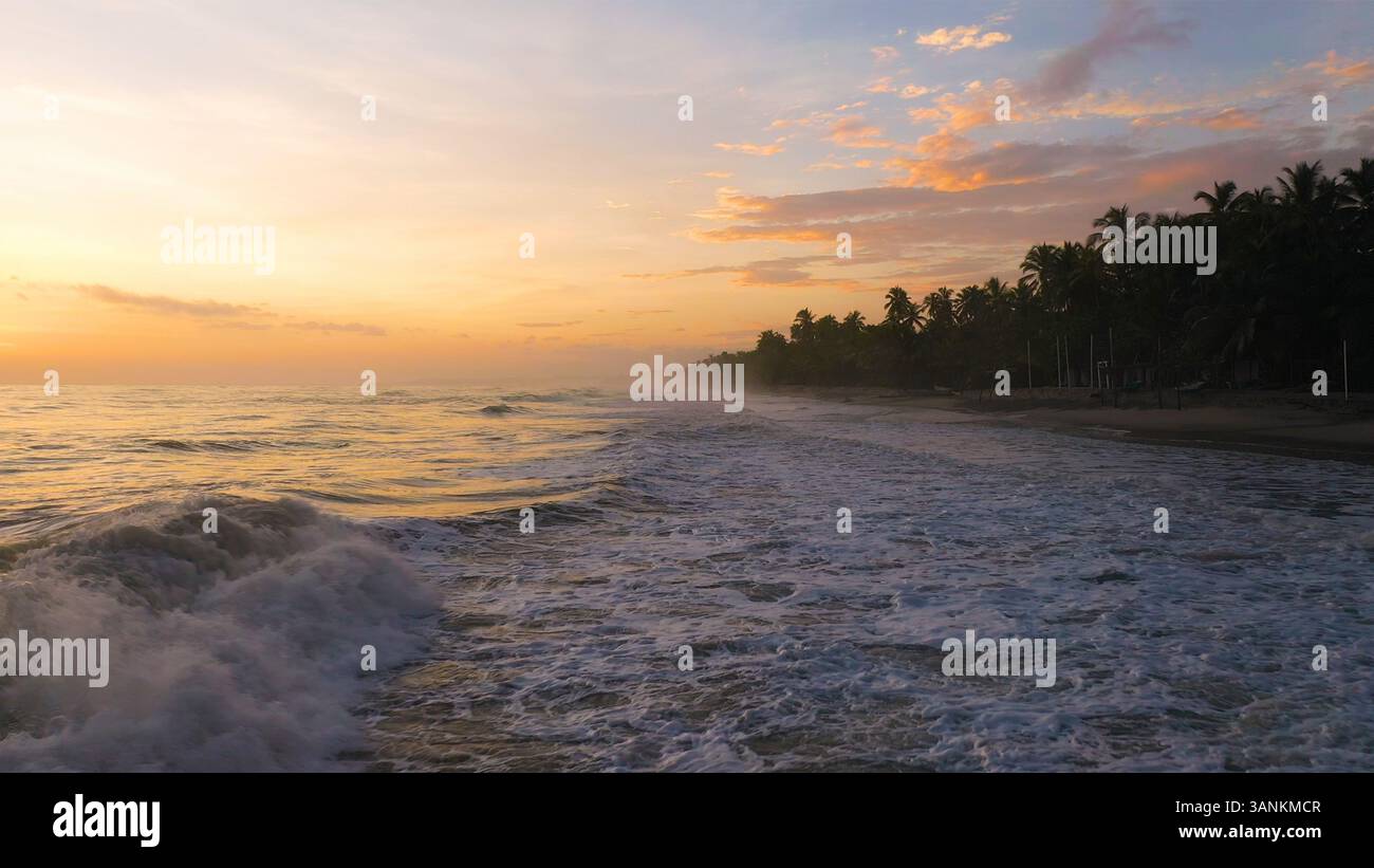 Aerial view of serene tropical beach at sunrise with palm trees and ...