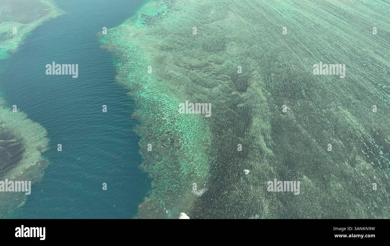 Aerial view of abstract reef in the ocean, Western, Fiji Stock Photo ...