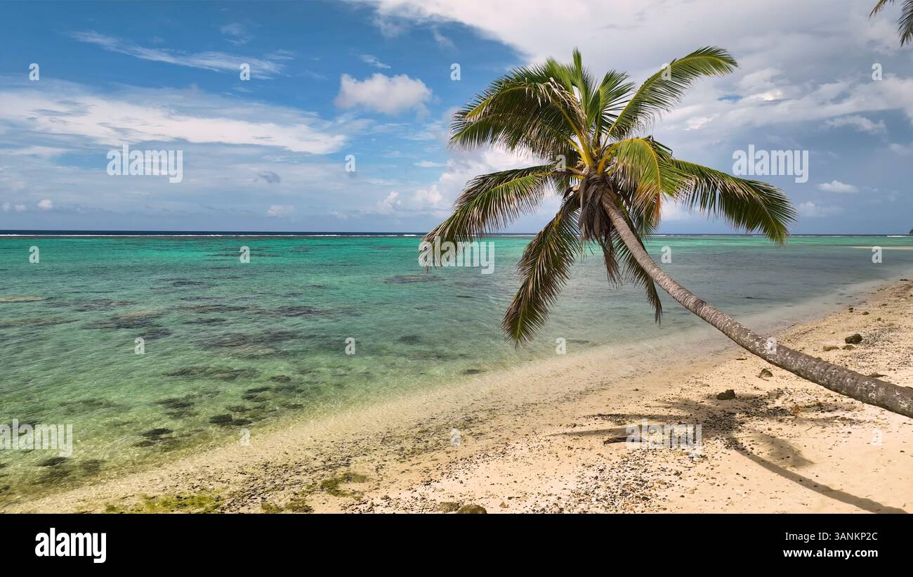 Aerial view of tropical beach with palm trees and clear water, Avarua ...
