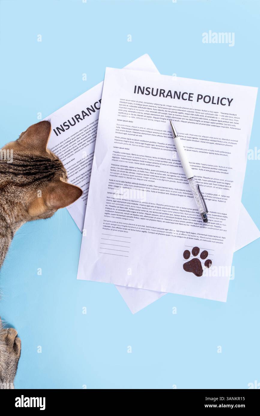 Pet health life Insurance, medical coverage concept. Insurance contract ...