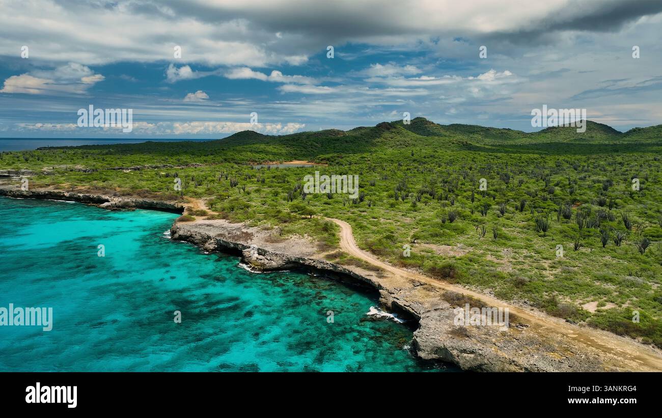 Aerial view of pristine turquoise ocean and rugged coastline with lush ...