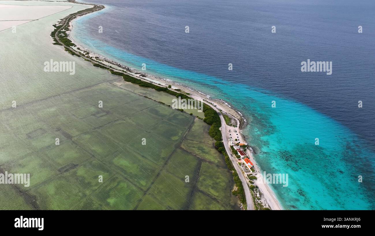 Aerial view of beautiful tropical reef and serene coast with clear blue ...