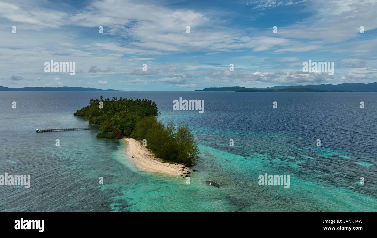 Aerial view of tropical island with beautiful beach and turquoise ocean ...
