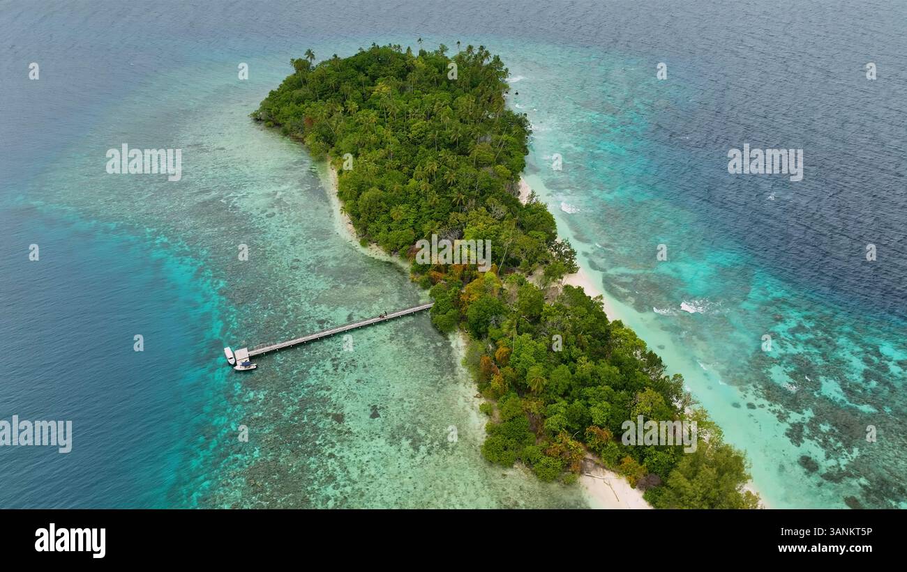 Aerial view of a tropical island with lush vegetation and a serene ...