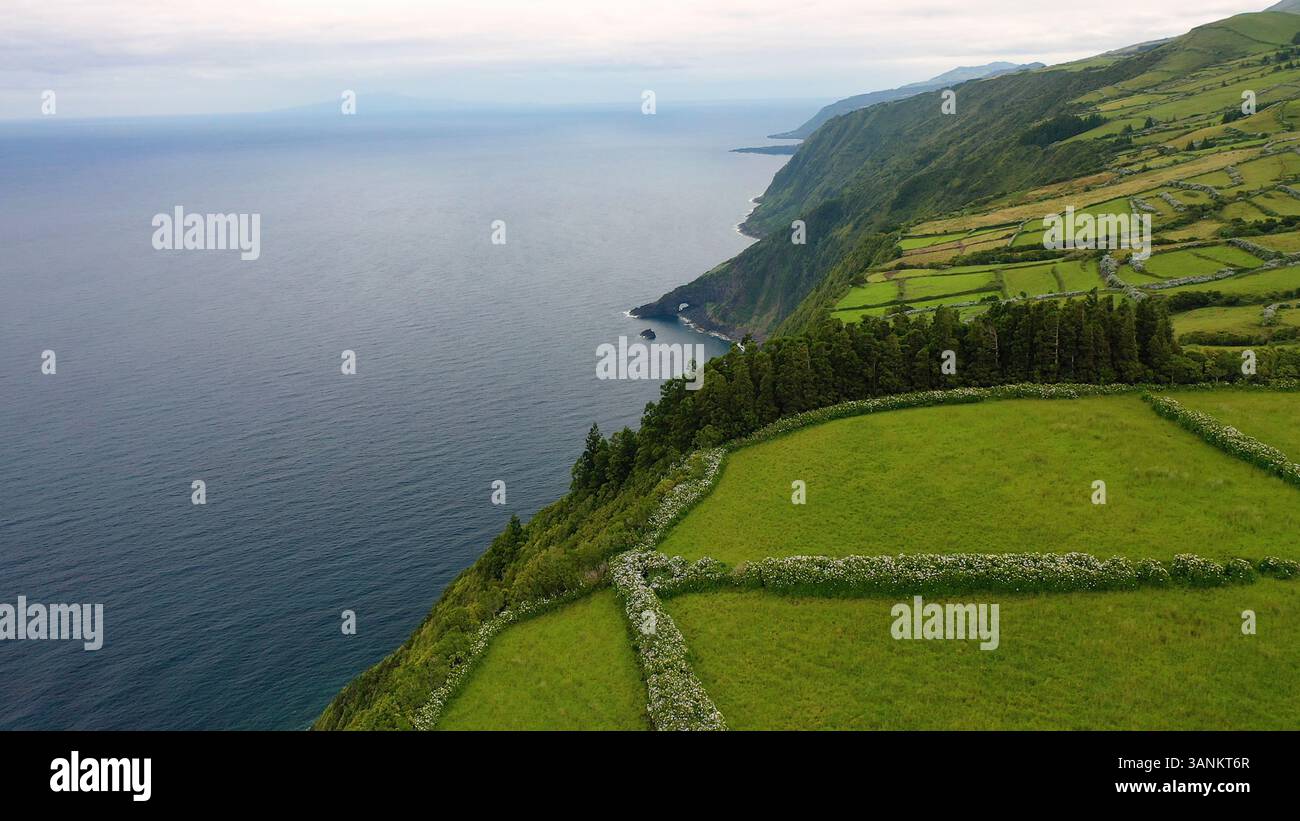 Aerial view of the breathtaking coastline with lush fields and craggy ...