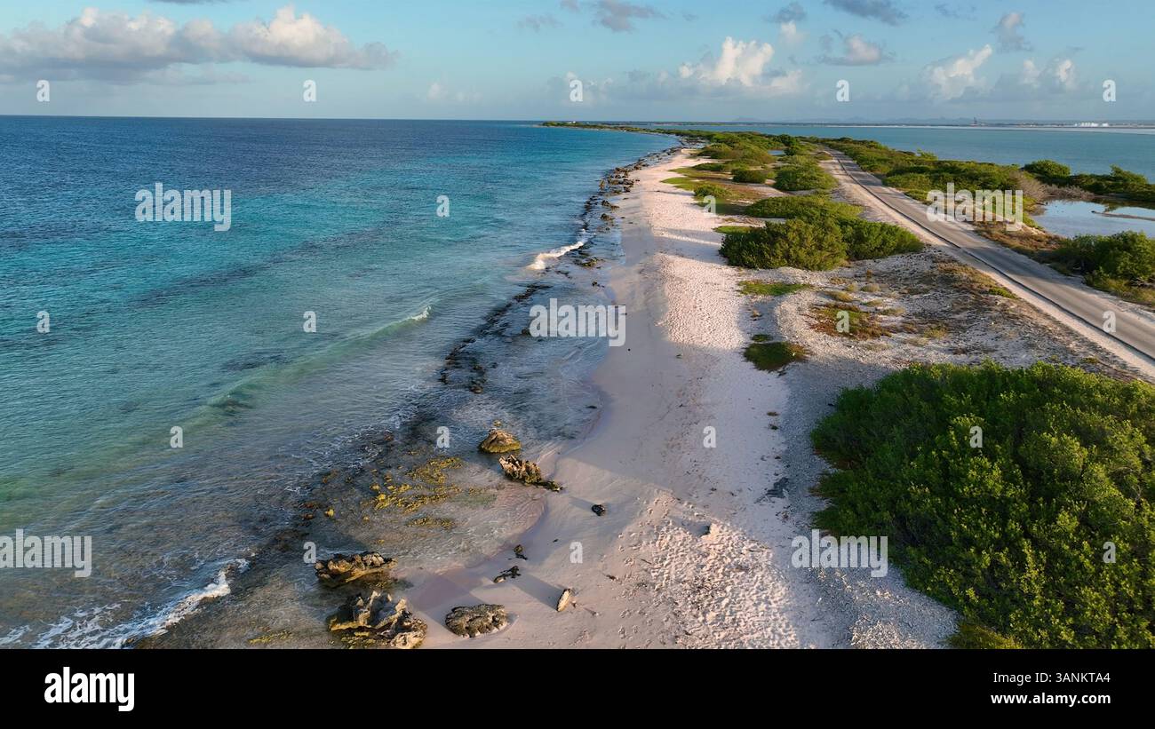 Aerial view of tranquil caribbean beach with beautiful ocean and lush ...