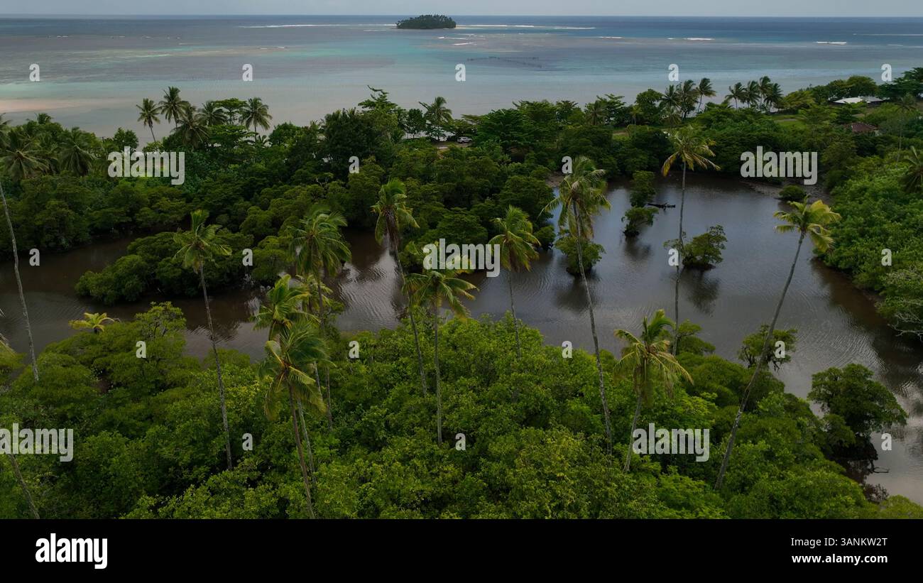 Aerial view of tropical island with lush greenery and palm trees ...