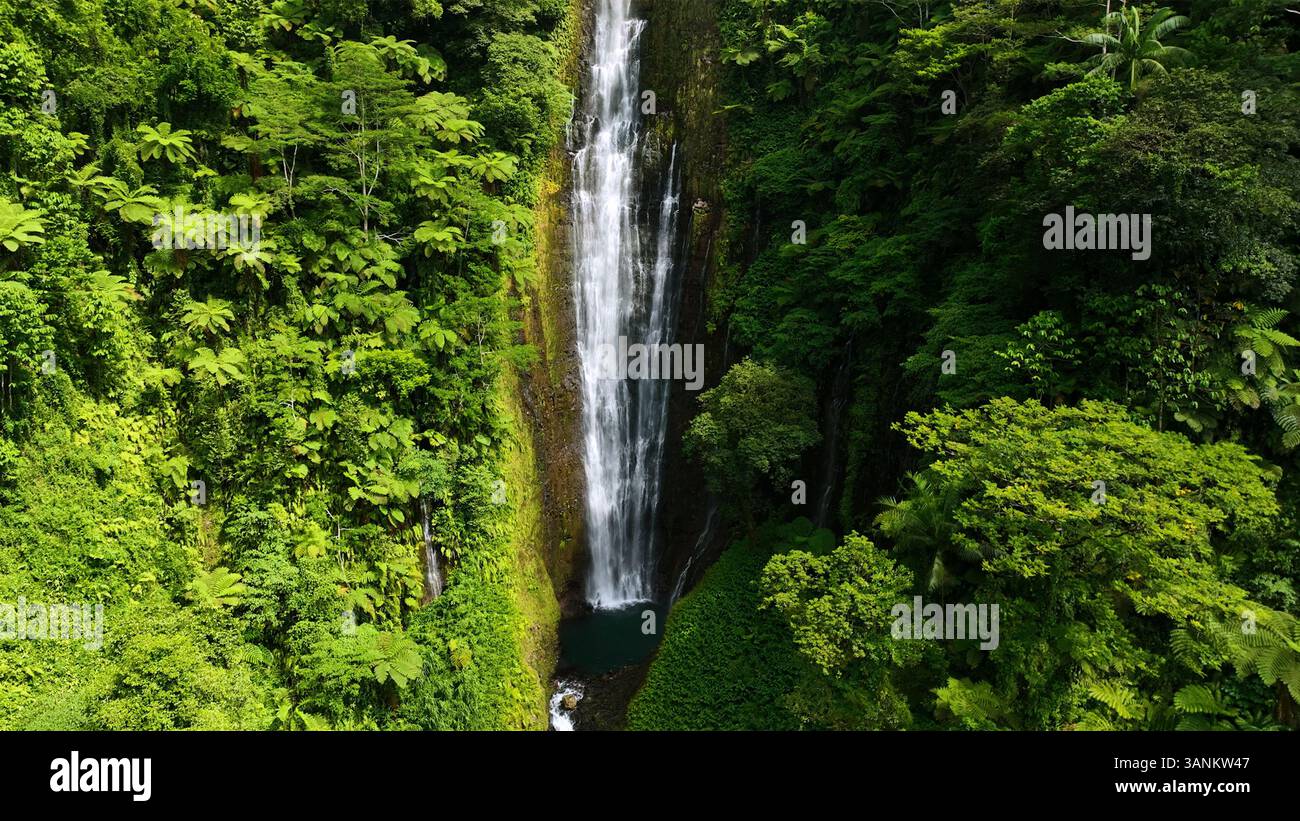 Aerial view of a breathtaking tropical waterfall surrounded by lush ...