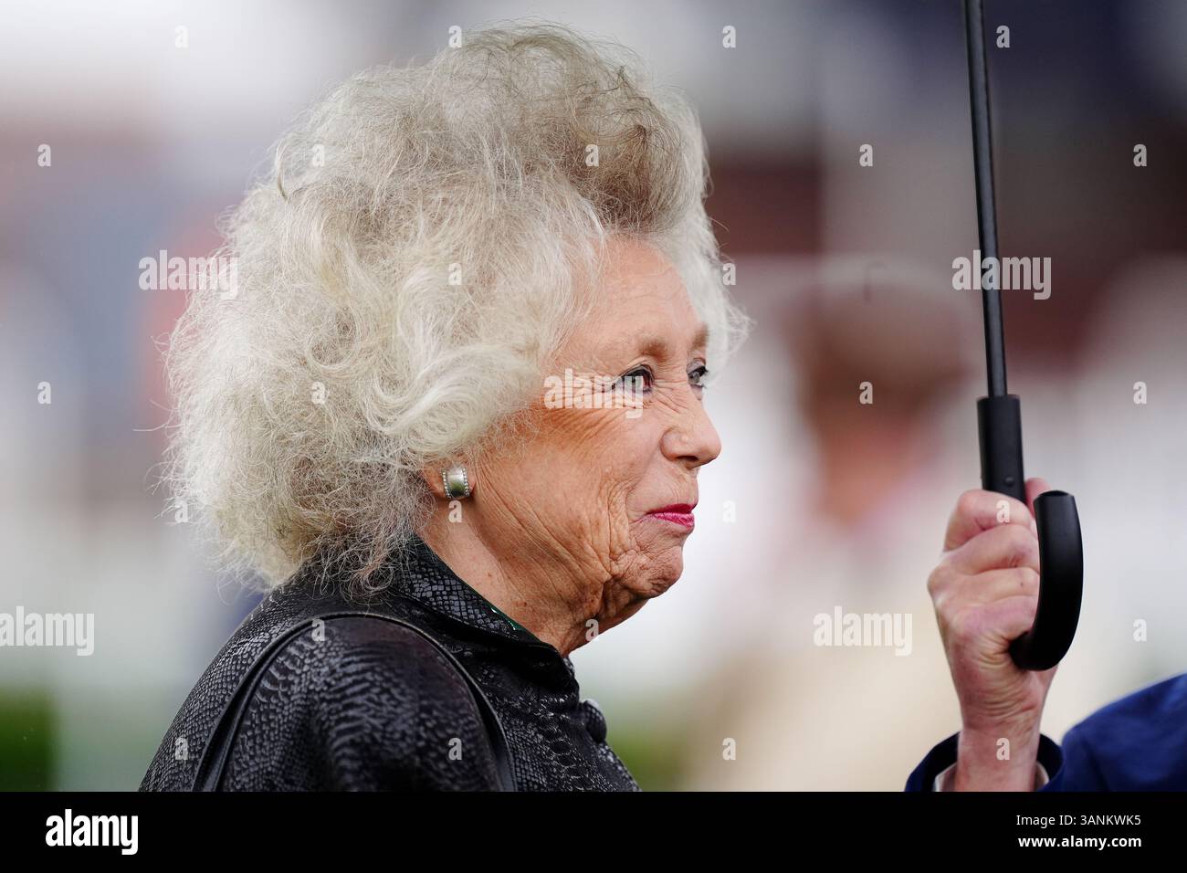 Swedish businesswoman Kirsten Rausing at Newmarket Racecourse. Picture ...