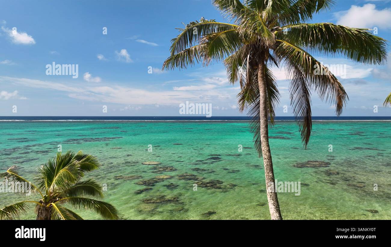 Aerial view of tropical beach with palm trees and clear blue ocean ...