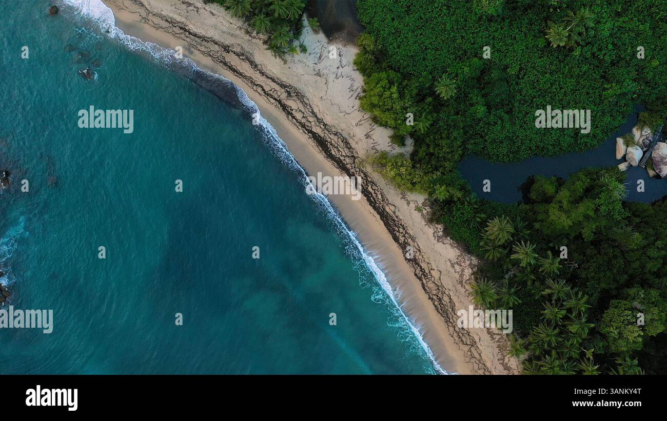 Aerial view of secluded beach and lush jungle along the tranquil ...