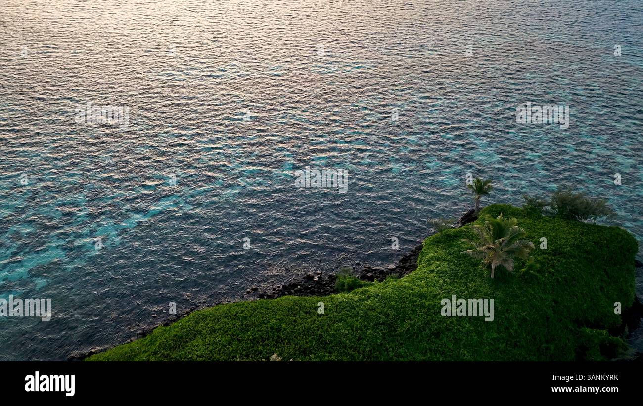 Aerial view of tropical island with palm trees and lush greenery, Fiji ...