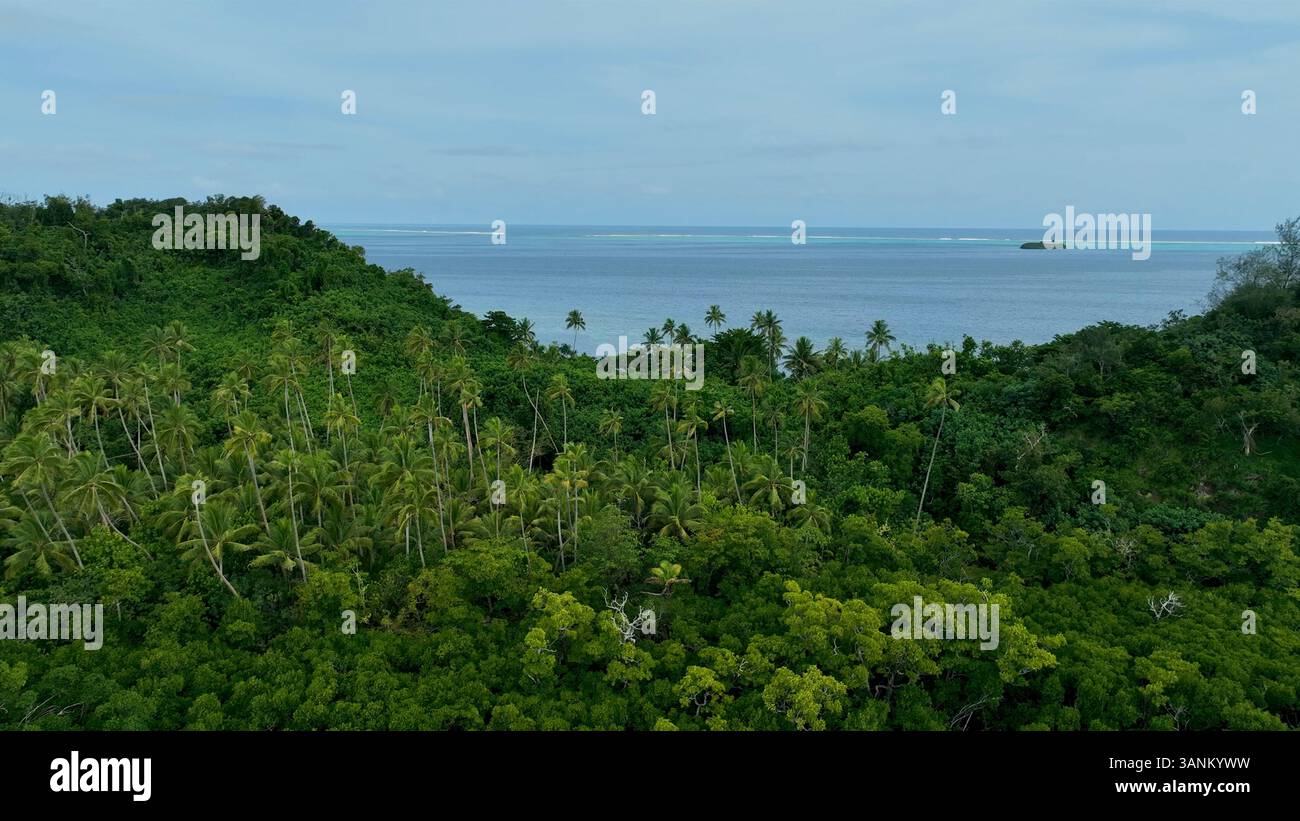 Aerial view of lush greenery and tropical island with pristine ocean ...