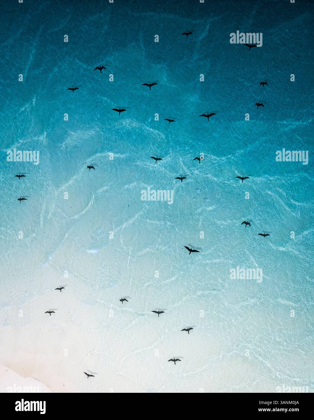 Meemu a hi-res stock photography and images - Alamy