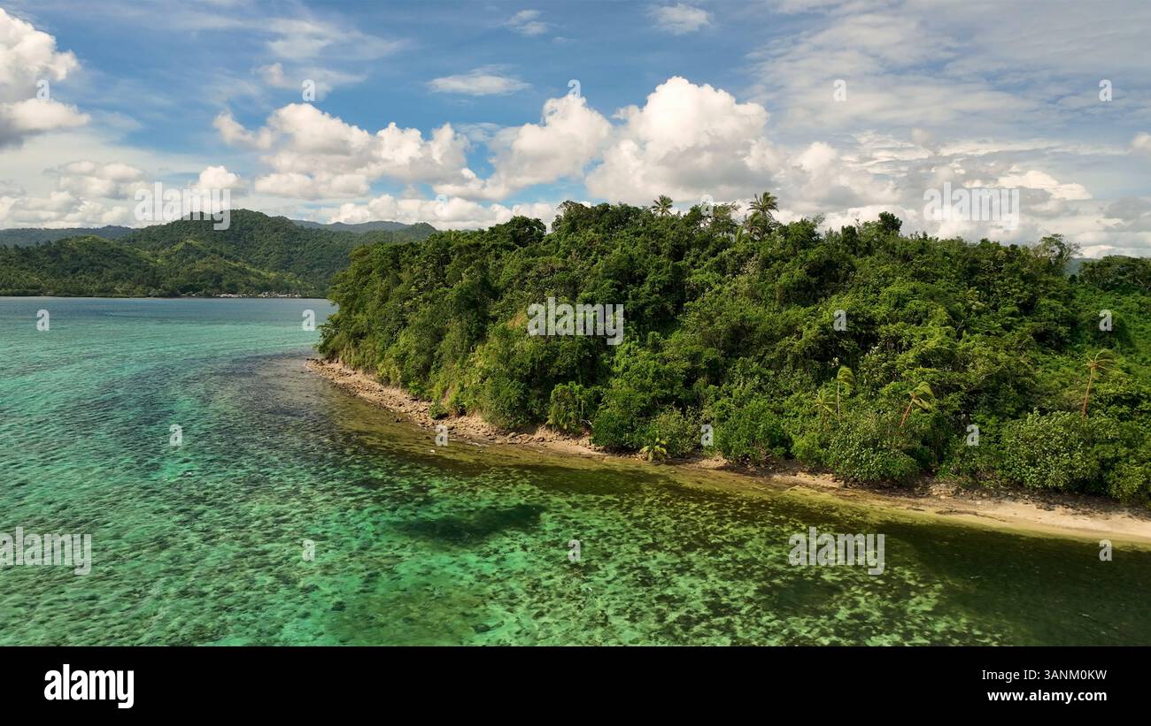Aerial view of tropical island with lush greenery and clear water, Fiji ...