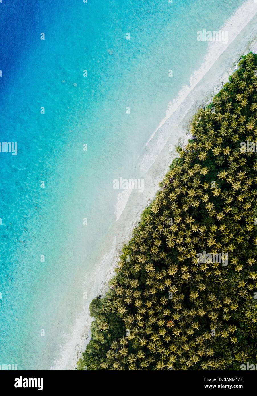 Aerial view of an island lagoon with the island forest, Goidhoo, Baa ...