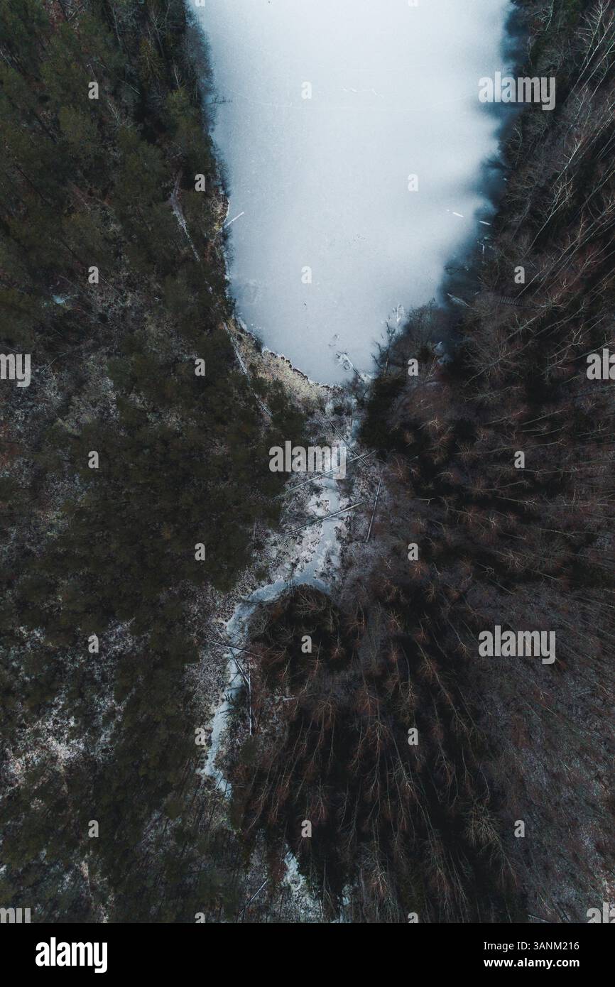 Aerial view of white frozen Jussi lake, forest and bogs in early winter ...