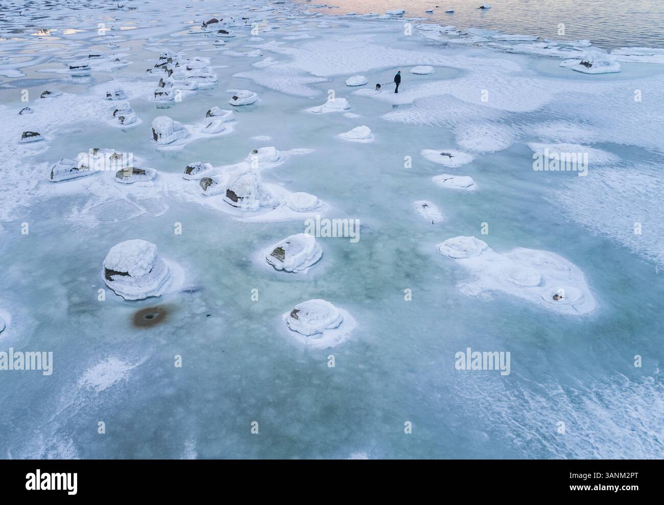 Aerial view of a man walking his dog on the frozen sea in Muraste ...