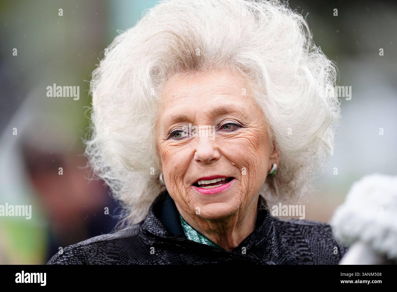 Swedish businesswoman Kirsten Rausing at Newmarket Racecourse. Picture ...