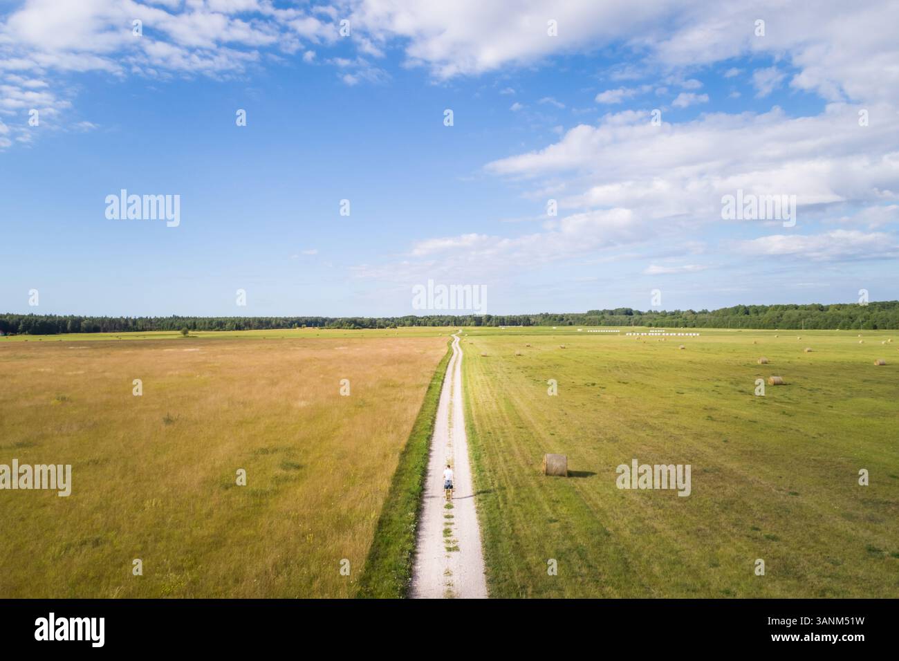 Aerial view of a man walking alone on a path in the middle of farmland ...