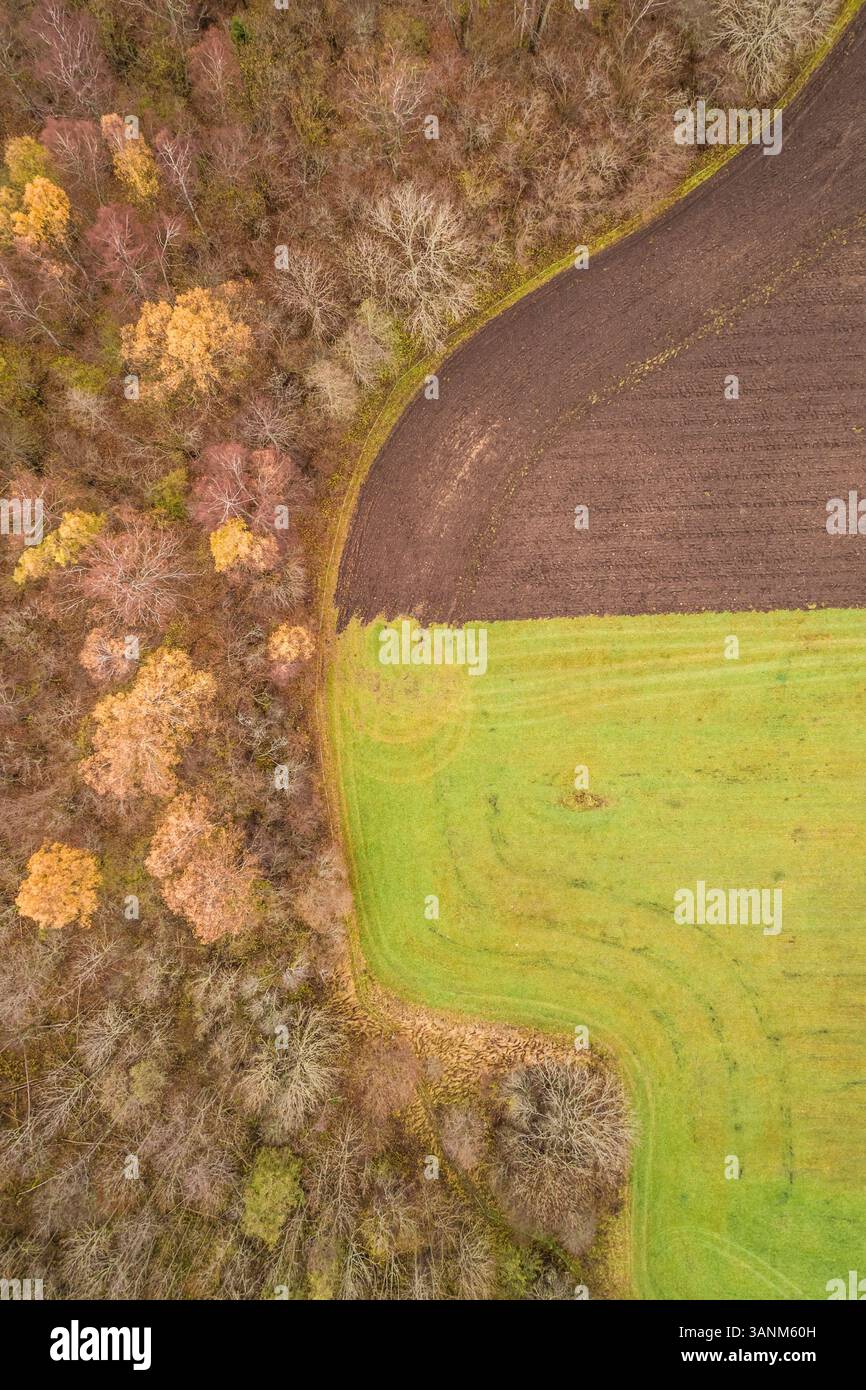 Aerial view of a separation between two different colored fields in ...