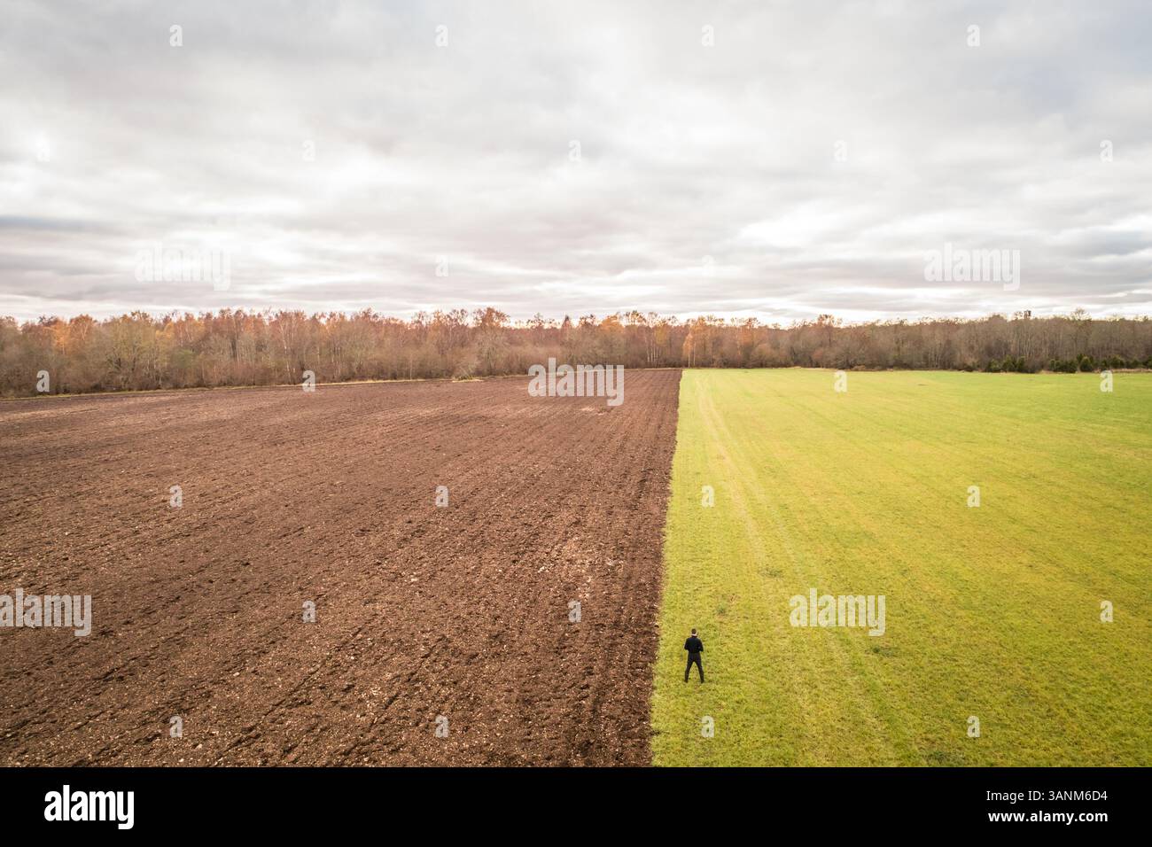 Aerial view of a man standing up at the separation between two ...