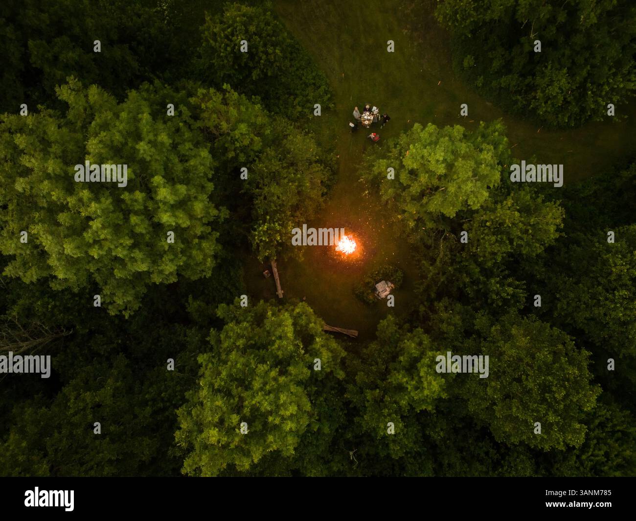 Aerial view of friend eating close to campfire in forest at night Stock ...