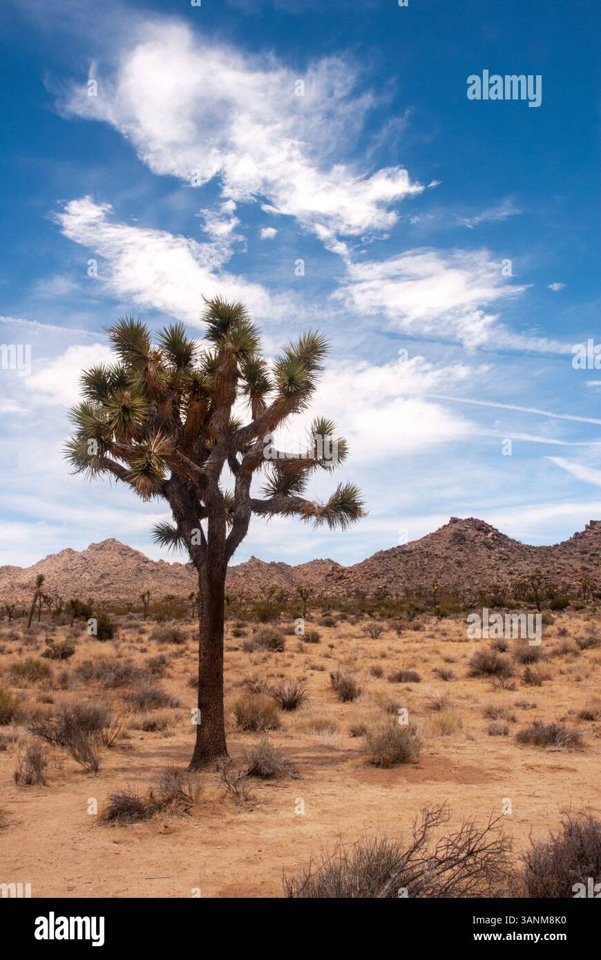 Mojave trails california hi-res stock photography and images - Alamy
