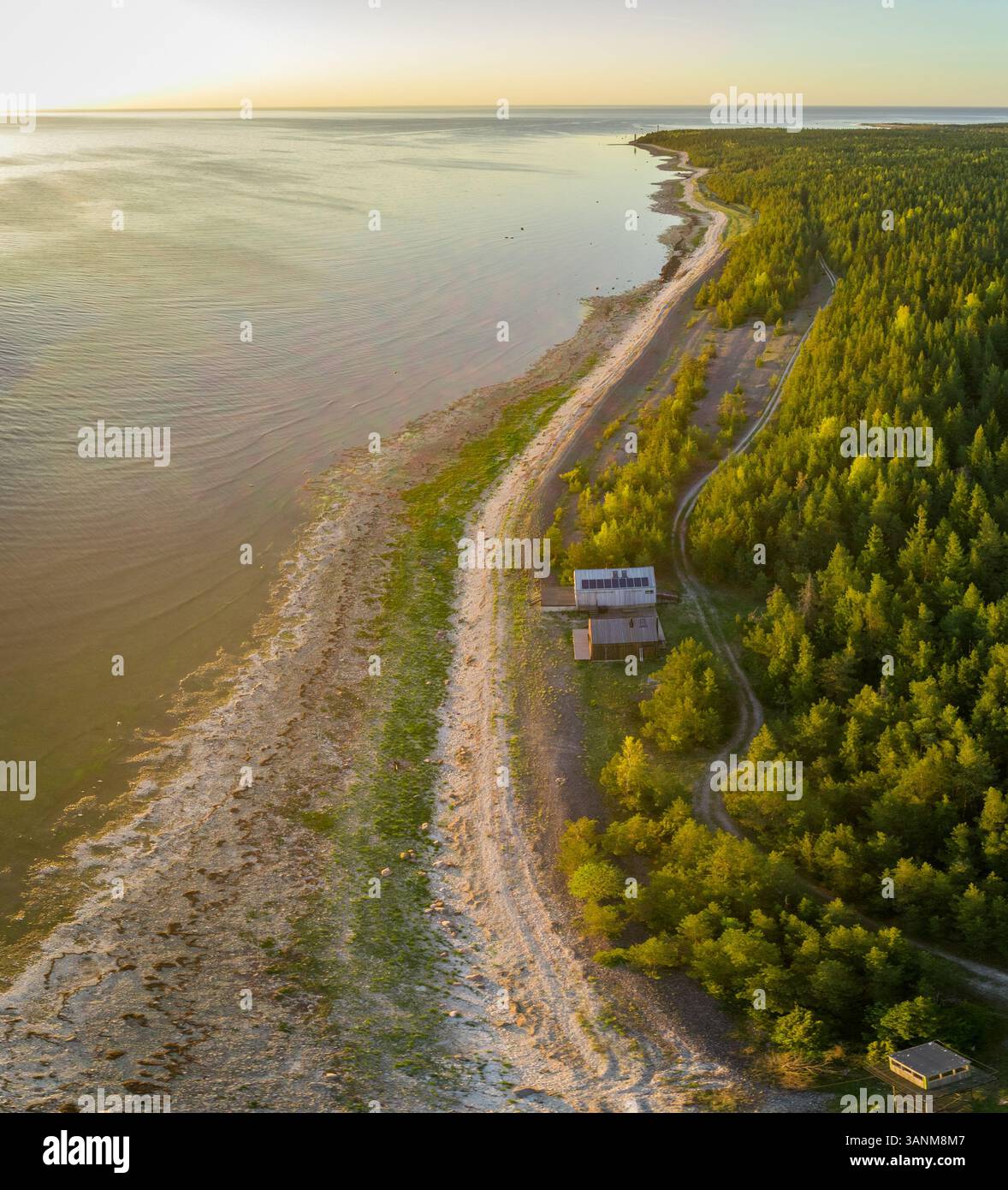 Aerial view of an isolated houses in the edge of a forest in Forby on ...