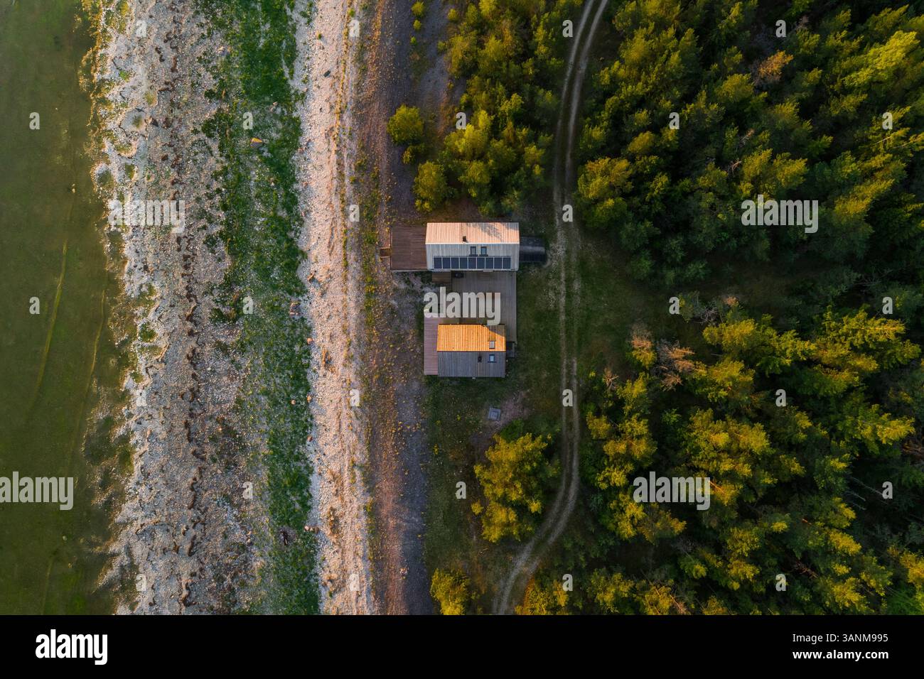 Aerial view of an isolated houses in the edge of a forest in Forby on ...
