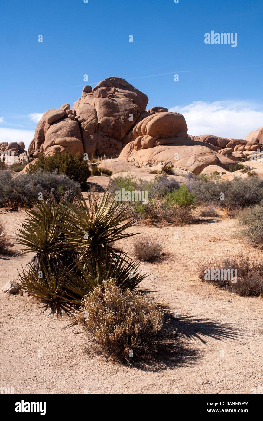 Rock Formations, Joshua Tree National Park, California, USA Stock Photo ...