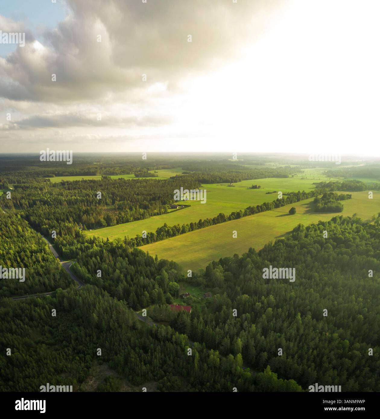 Aerial view field forest in hi-res stock photography and images - Alamy