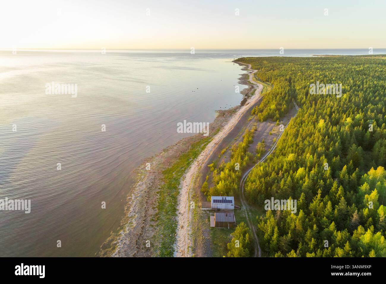 Aerial view of an isolated houses in the edge of a forest in Forby on ...