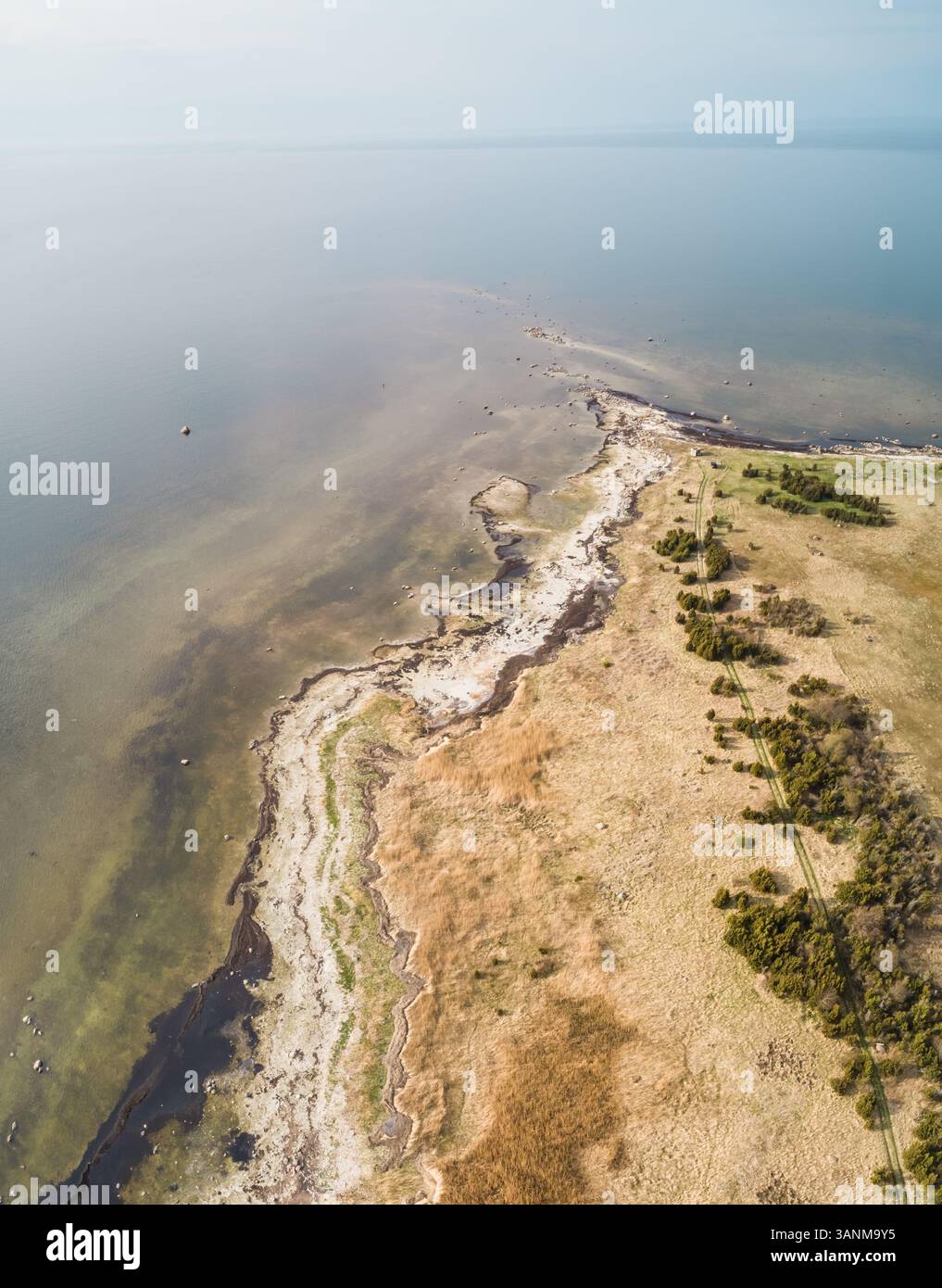 Aerial view of coastline surrounded by sea full of algae in Estonia ...