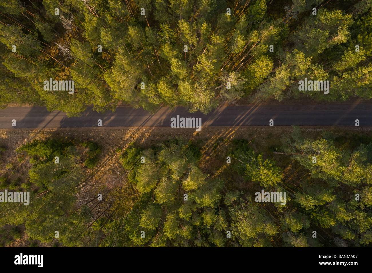 Aerial view of empty road at sunset on the island of Vormsi, Estonia ...