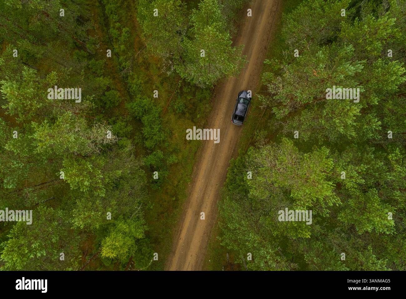 Aerial view of road going through forest in Estonia Stock Photo - Alamy