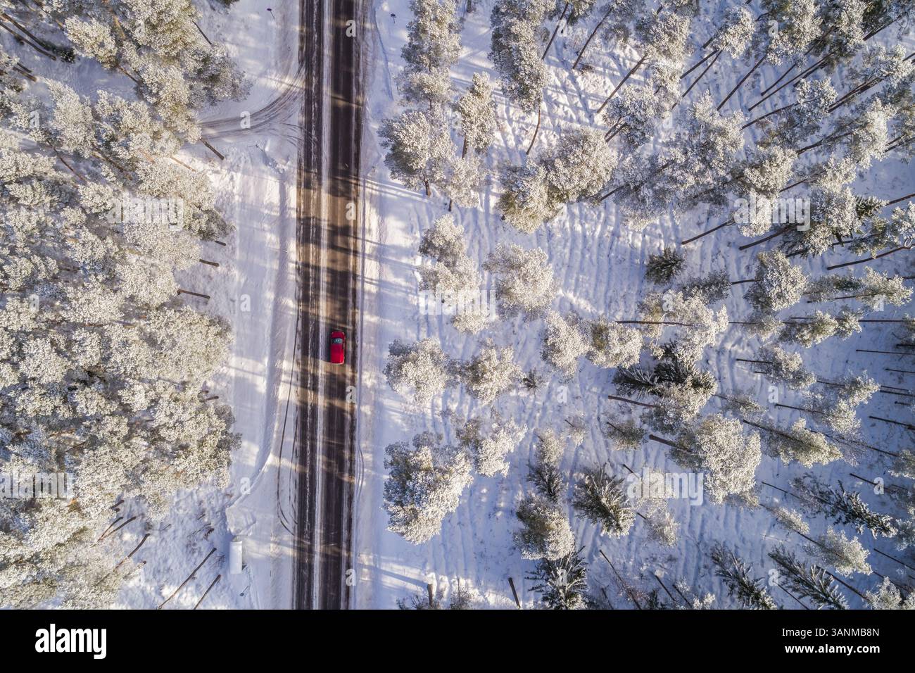 Aerial view of a car driving in the forest of Naage in Estonia Stock ...
