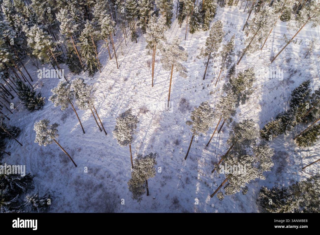 Naage hi-res stock photography and images - Alamy