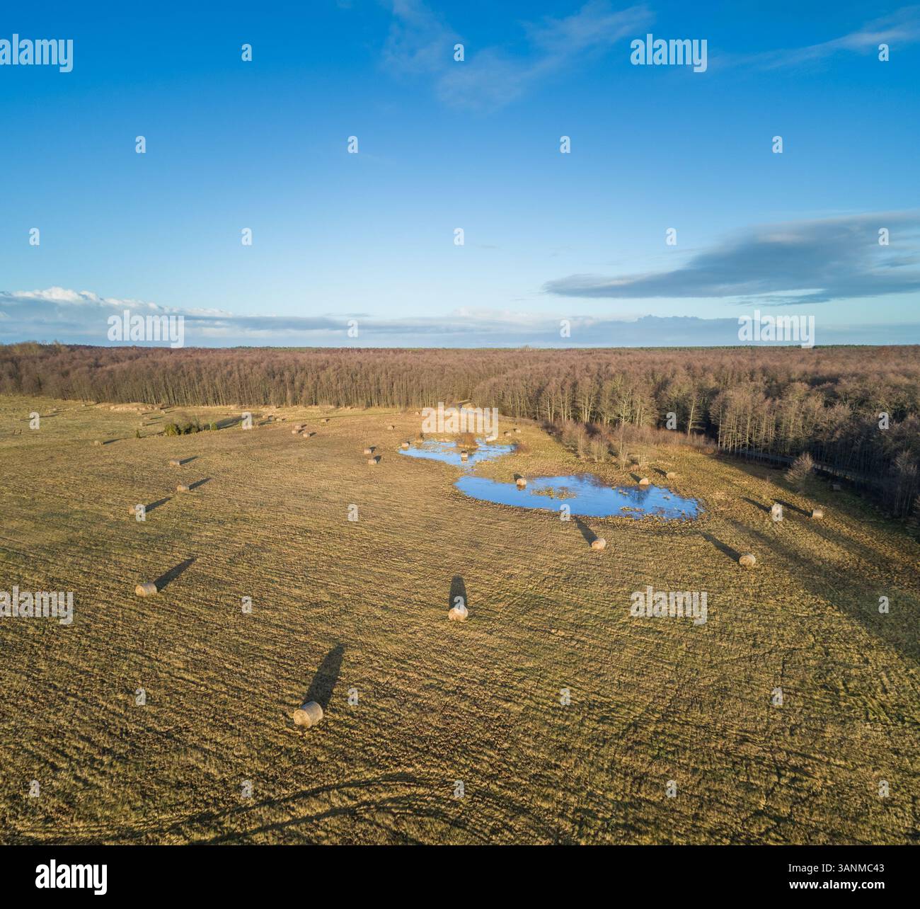 Aerial view of straw bales in a farmland on Vormsi Island, Estonia ...