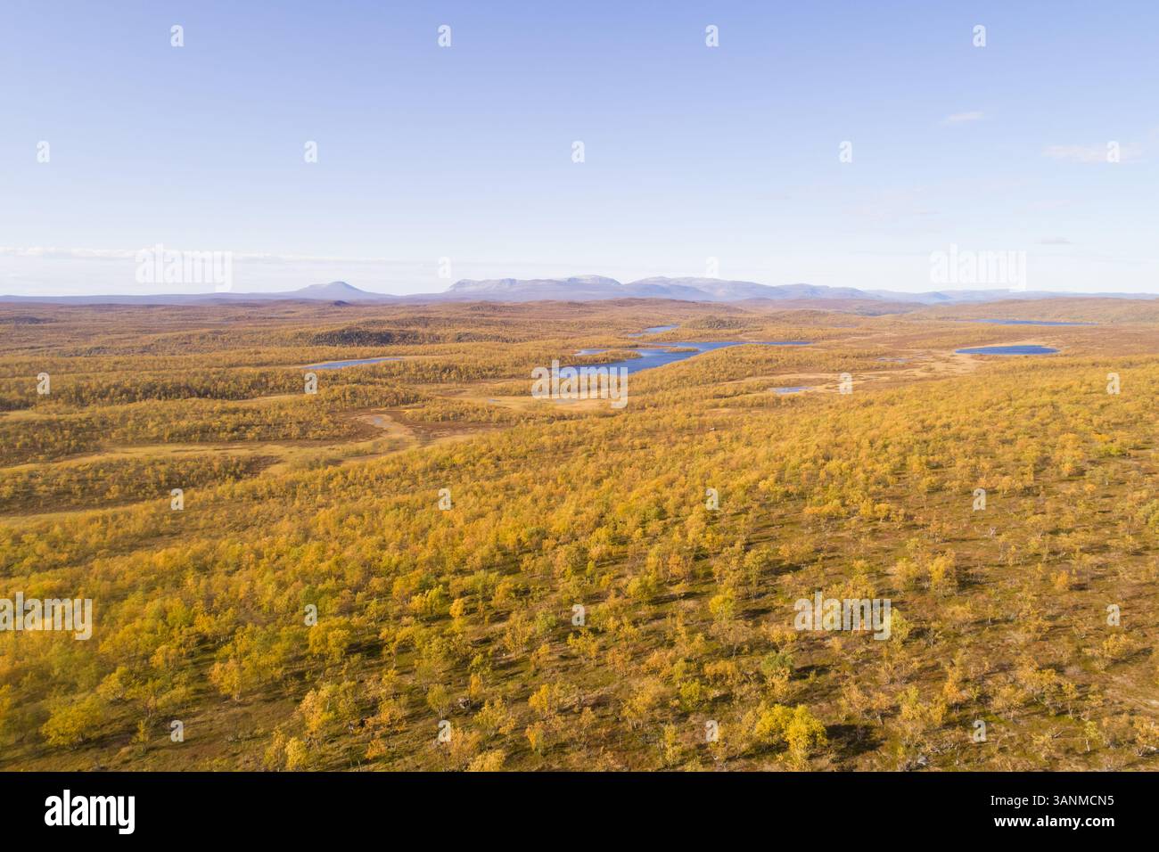 Aerial view of green fields with lagoons in the background, Karasjok ...