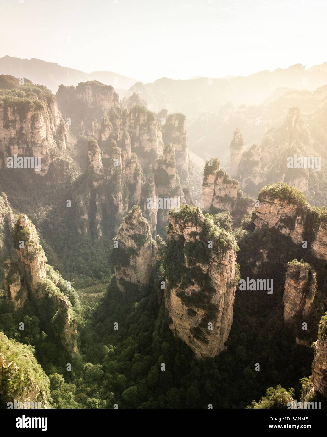 Aerial view of majestic rock formations and lush forest in serene ...