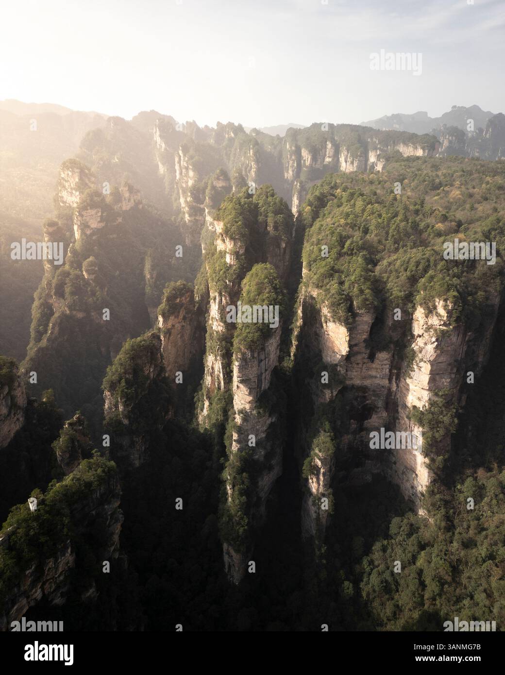 Aerial view of majestic avatar mountains and lush forest with ...