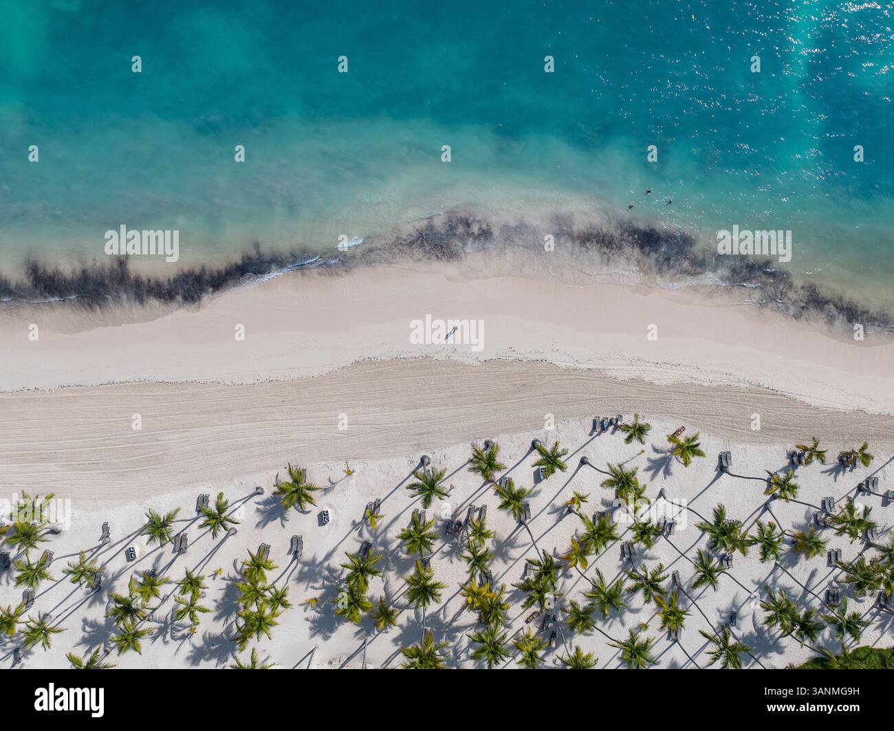 Aerial view of turquoise waters and sandy beaches in Punta Cana, La ...