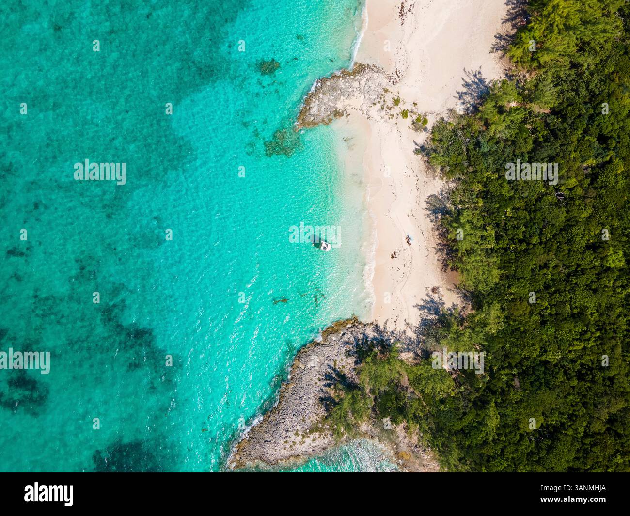 Aerial view of turquoise waters and sandy beaches with palms on Rose ...