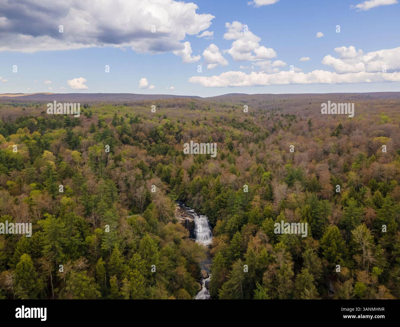 Aerial view of Muddy Creek Falls in spring in McHenry Maryland, United ...