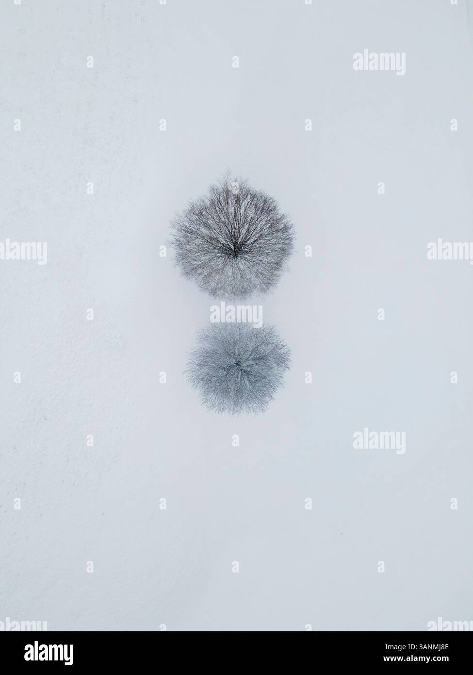 Aerial view of snowy tree tops in Columbia, Maryland, United States ...