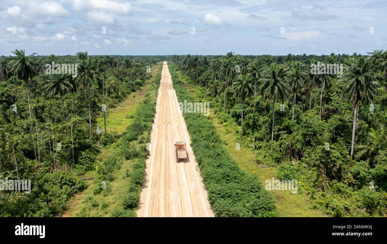 Aerial view of a truck on a sand path through lush tropical forest with ...