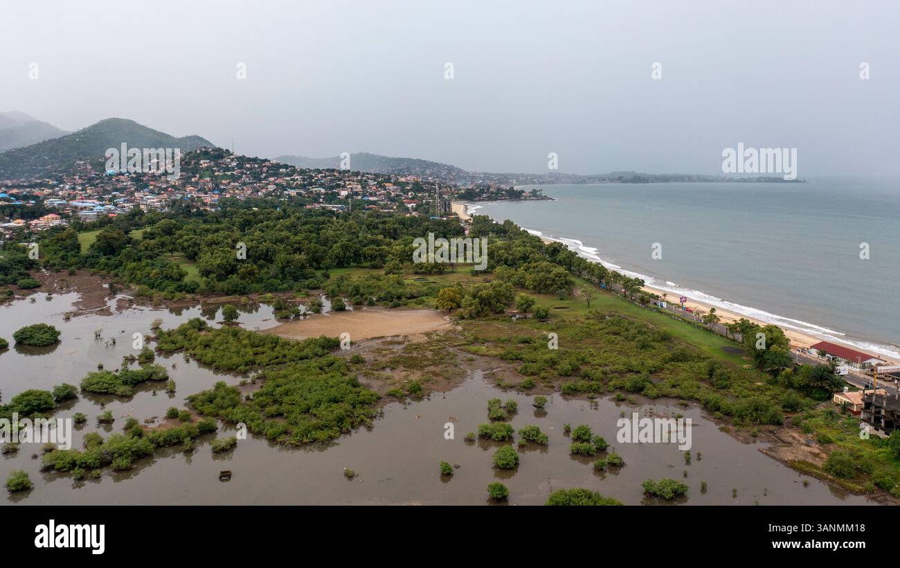 Aerial view of water between houses with lush greenery and coastal ...